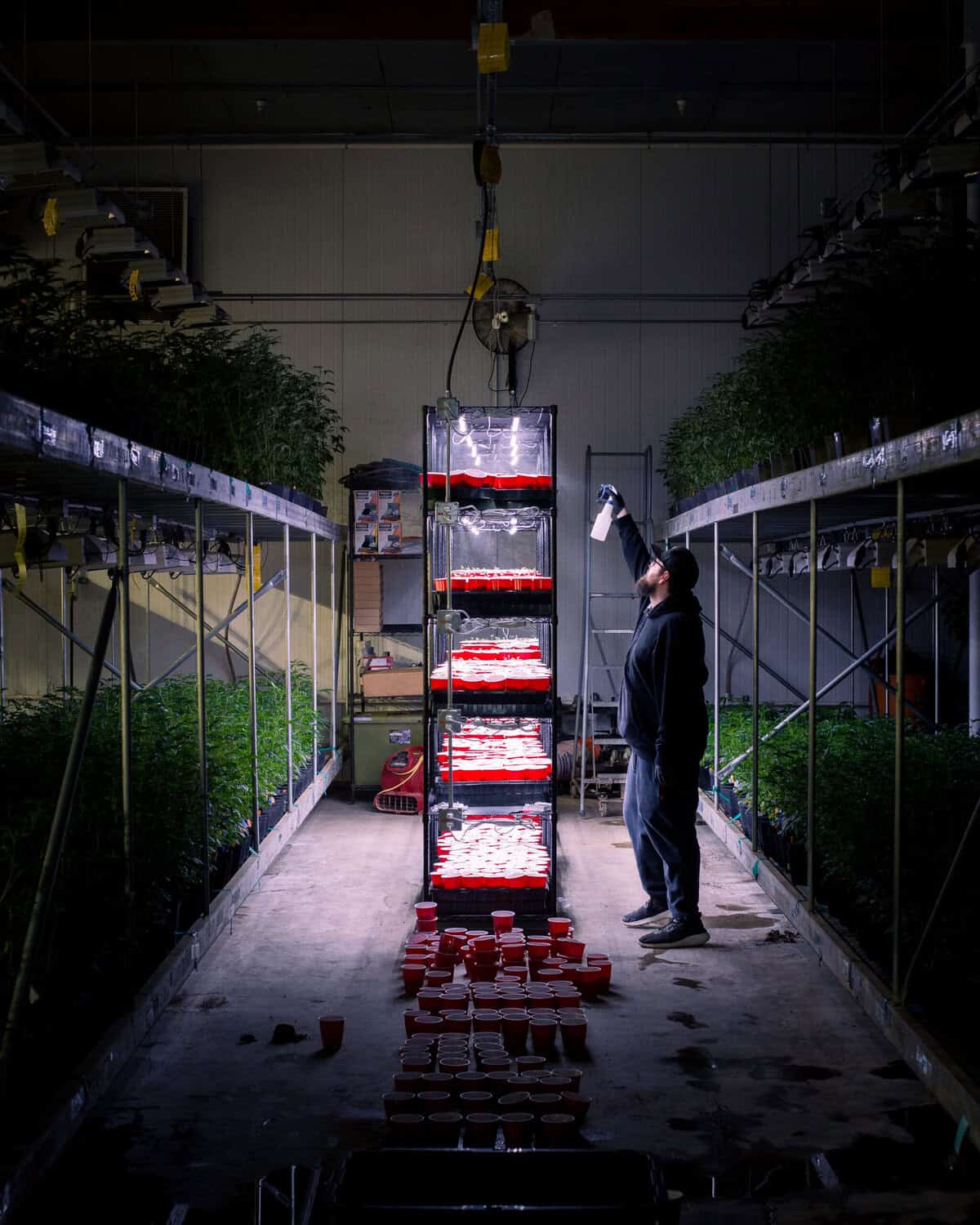 Popping Seeds and Picking Winners - Staying one step ahead of the ...