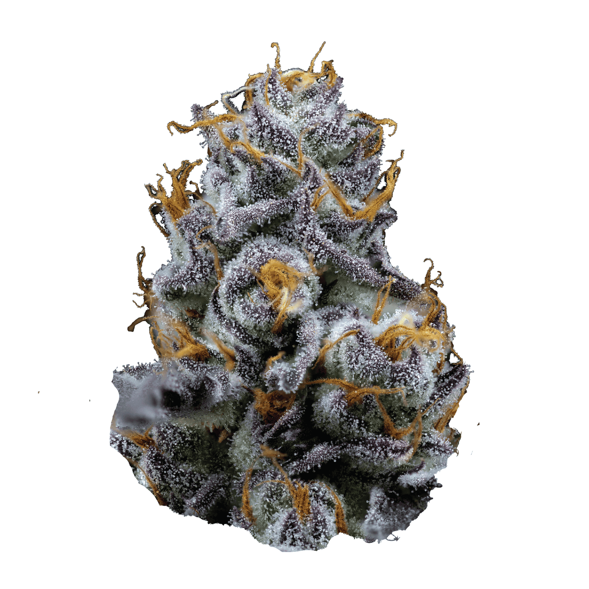 G Snow - Ember Valley