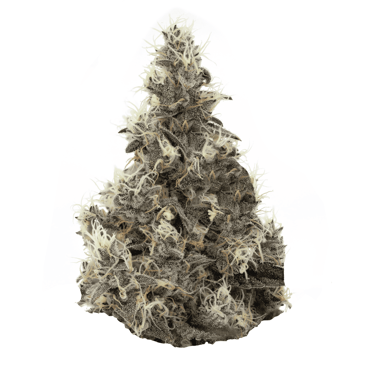 GMO-Z - Ember Valley