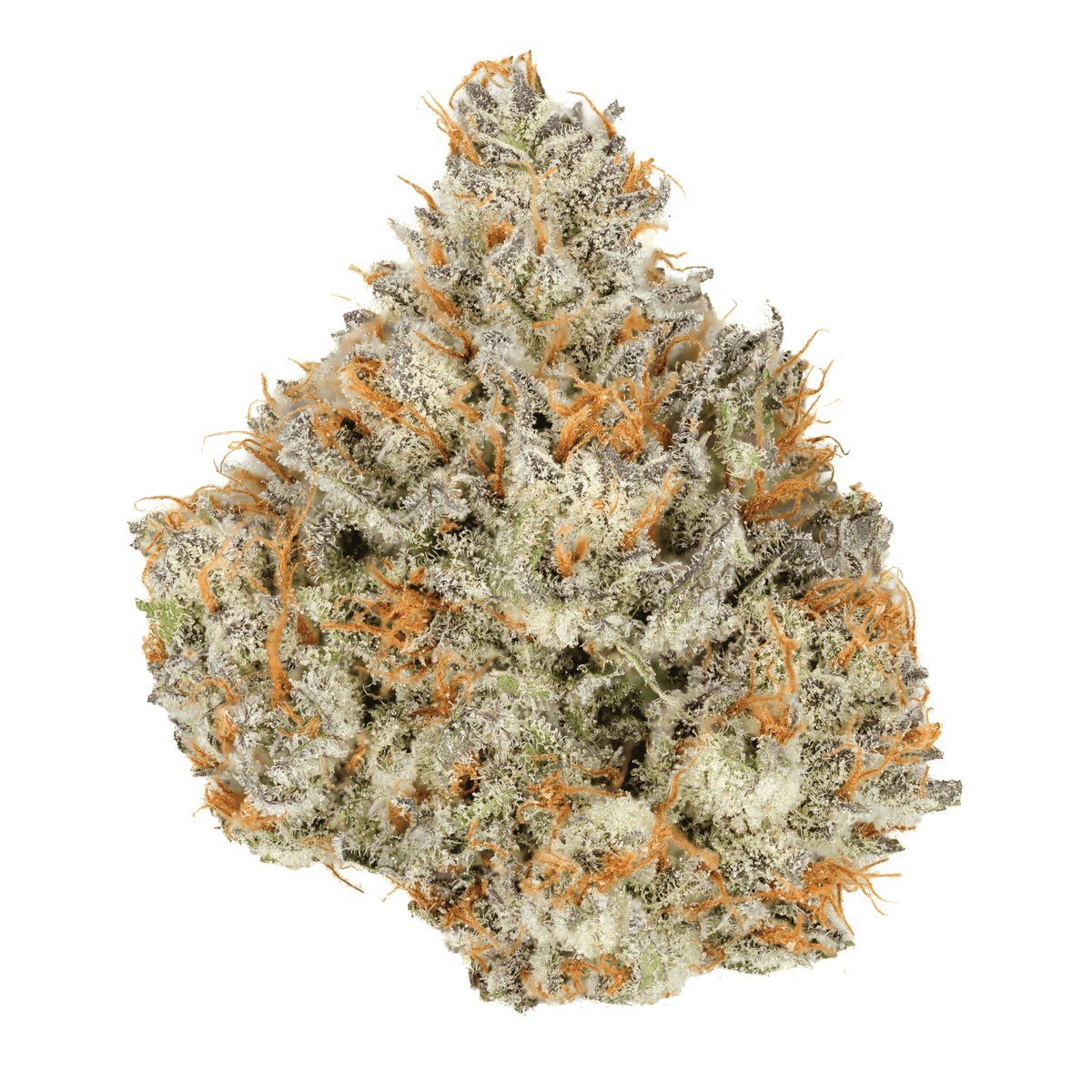 Ruthless Runtz S1 - Ember Valley